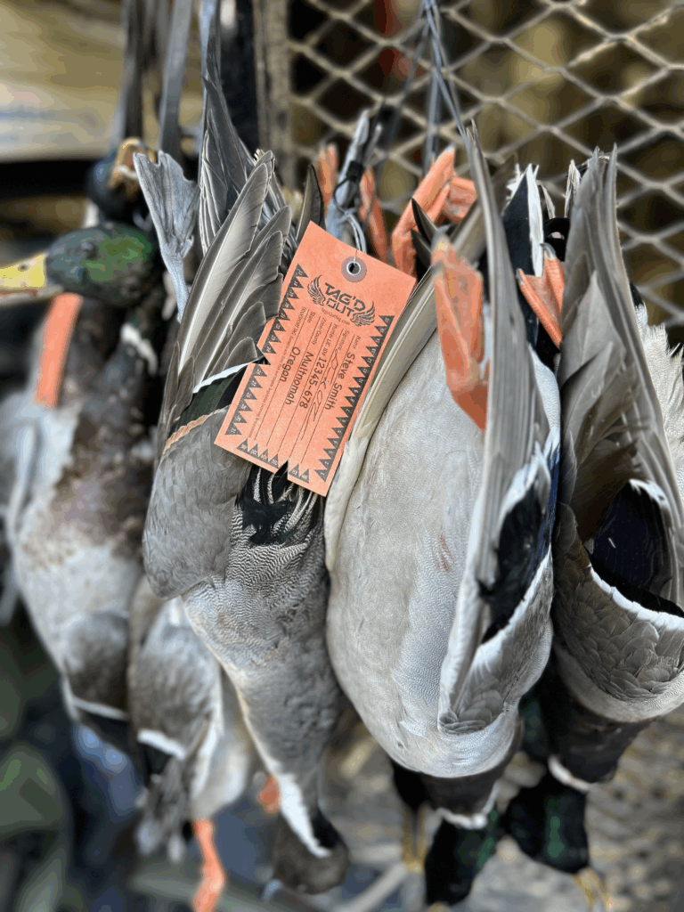 Tag’D Out Waterfowl Tags – Rocky Mountain Hunting Calls